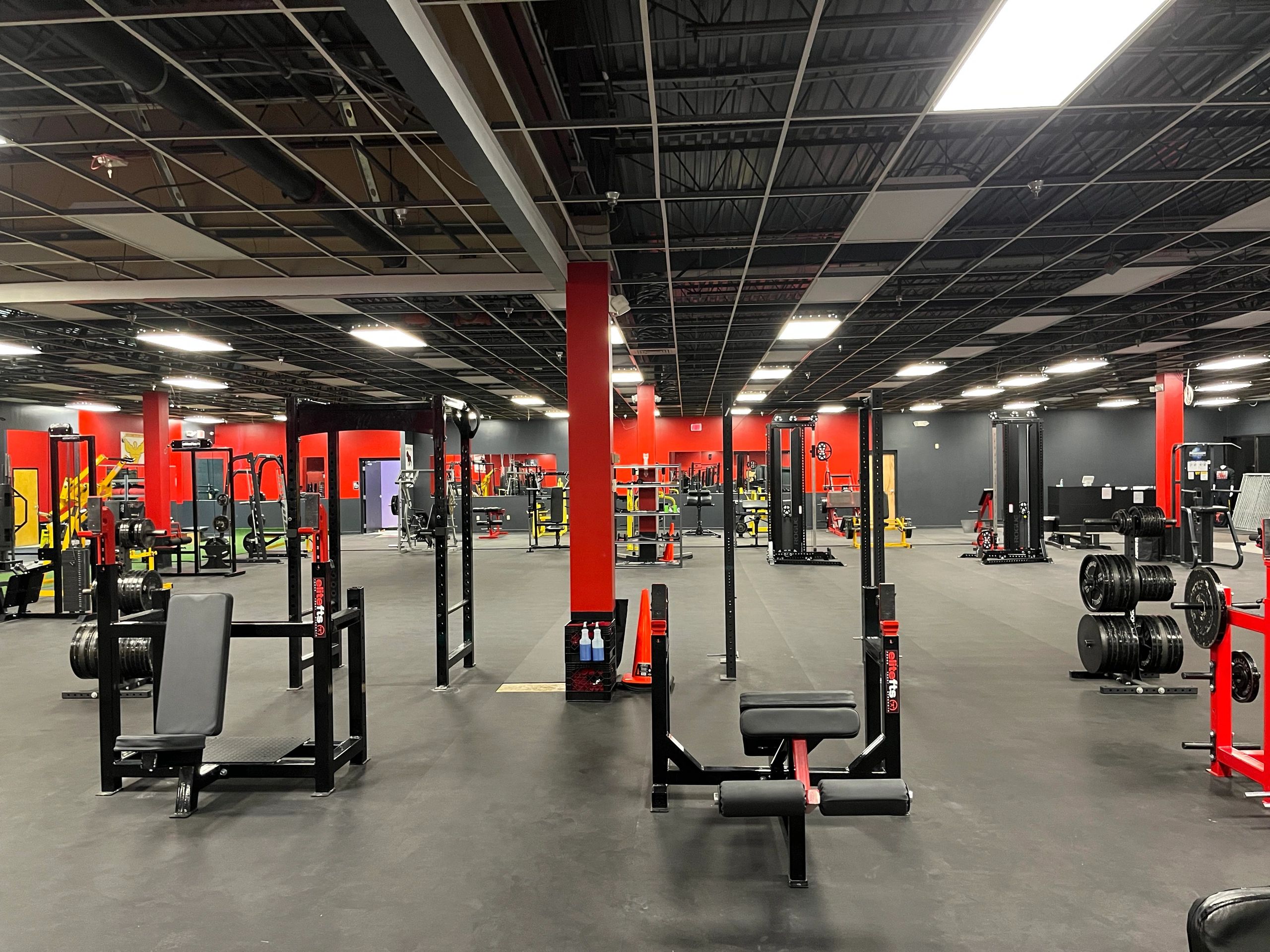 Welcome To The Pit - Gym/Fitness, Health/Weight Training